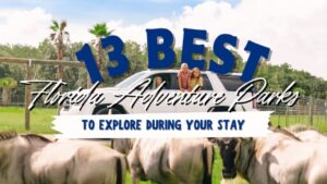 13 Best Florida Adventure Parks for Thrill-Seekers